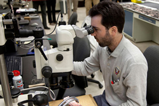 New high-tech microscope for cheap disease testing - Business News ...