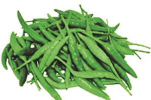 Green chilli exports to Saudi Arabia to begin next week - Commodities ...