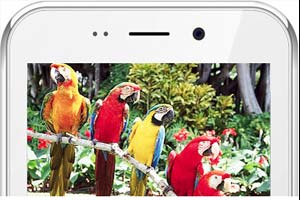 Freedom 251 mobile price Rs 251; ‘Ringing Bells paid Rs 3,600 for it ...