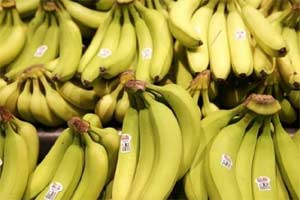 Banana prices to stay low; check out why - Commodities News | The ...