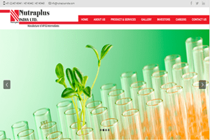 Nutraplus mulls entering formulations space, to boost APIs - Industry ...