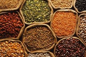 64,000 MT Rabi pulses procured, additional import ordered - Commodities News | The Financial Express