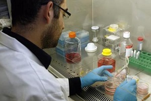 New bio-ink for 3D printing with stem cells - Science News | The ...