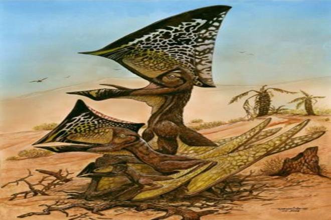 New species of pterosaur from early Jurassic period discovered ...
