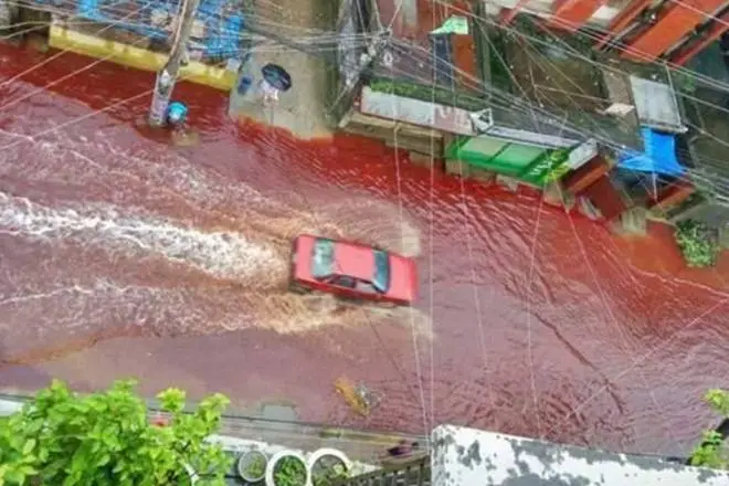 Watch: Streets of Dhaka run red with blood in wake of Eid al Adha after ...