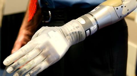 Interactive 3D models of human joints created - Science News | The ...