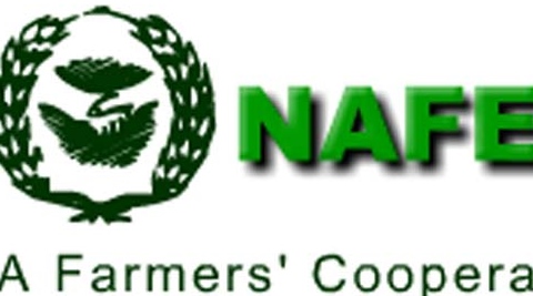 Breather for debt-hit Nafed, Centre to provide Rs 478 cr interest-free ...