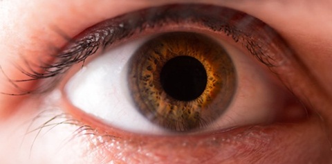 Decoded: What causes vision deterioration in astronauts - Sci-tech News ...