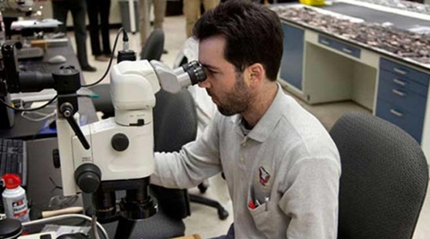 New organ in human body; check out the pathbreaking discovery - Science ...