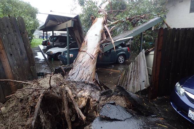 1 dead, others stranded as storm lashes California - World News | The ...