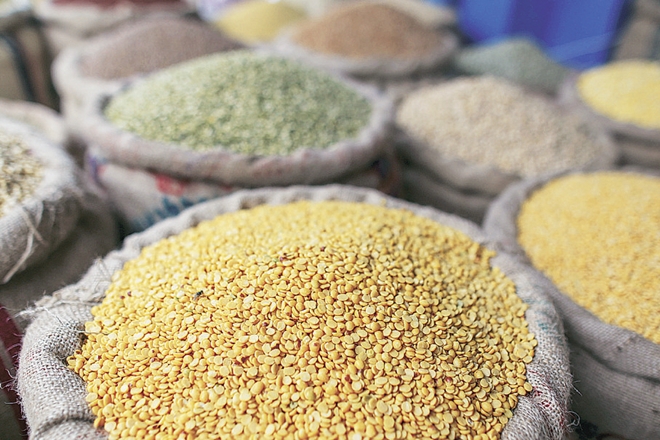 Tur prices fall below Minimum Support Price in Maharashtra ...