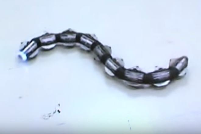 Ingestible 3D snake-robot can slither through intestines - Science News ...