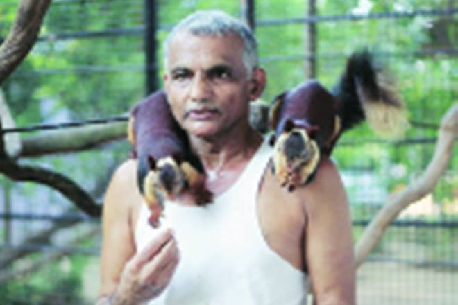 Animal conservation: Wildlife heroes going about the job in a unique ...