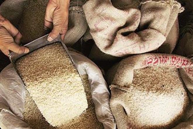 Assam rice production projected at 75 lakh mt this year: Atul Bora ...