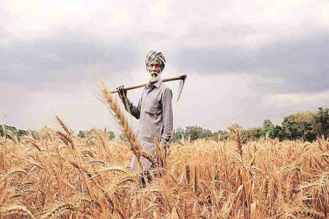 Agri experts call on to focus on self marketing - India News | The ...