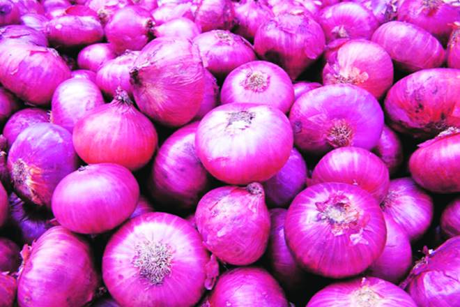 Onion procurement: After Madhya Pradesh, Maharashtra farmers seek Centre’s intervention ...