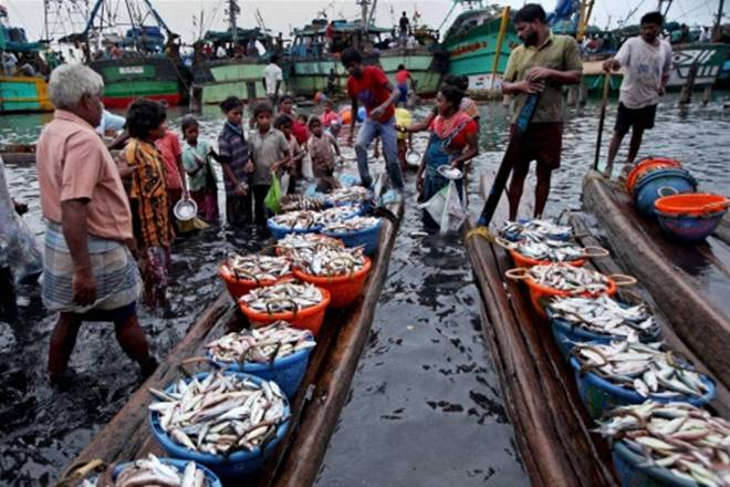 India’s seafood exports at record high, up 23% - Economy News | The ...
