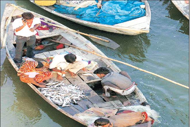 India’s seafood exports at all-time high, revenue soars to $5.78 bn ...