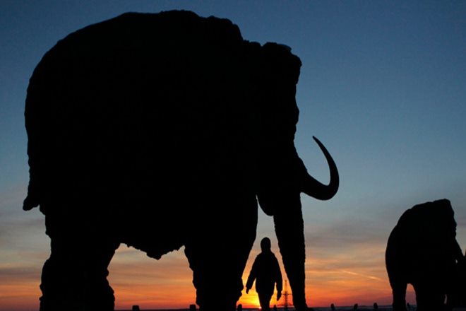 Red alert to planet Earth, sixth mass extinction now underway; all you ...