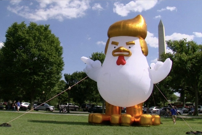 Inflatable Trump Chicken stands tall behind the White House; see how ...