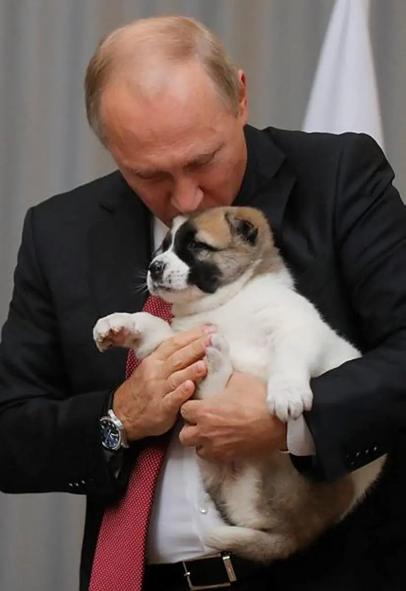 These photos of Vladimir Putin with adorable puppy, world’s most unique ...