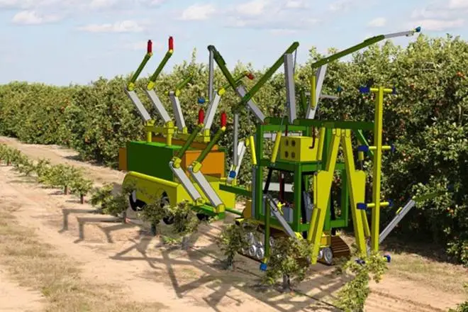 World’s first robotic farm completes fully automatic harvest - Business ...