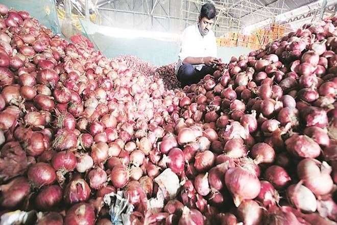 Rising tomato, onion prices: Delhi government to act against hoarding - India News | The ...