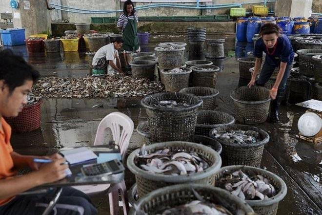 ‘India’s fisheries sector poor in taking insurance’ - Industry News ...