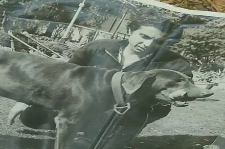 Prince of Awadh died a pauper in Delhi; read heart-wrenching story of ...