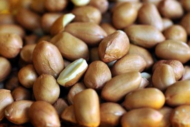 Gujarat asks districts to increase groundnut storage capacity ...