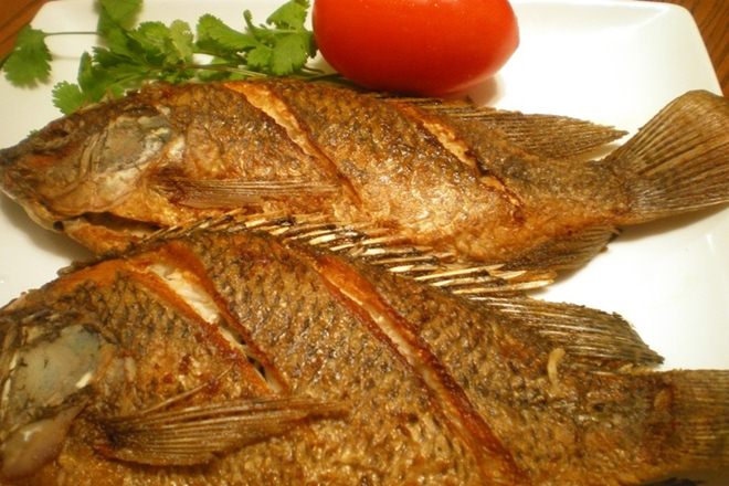 Horrifying! Diners left in shock as fried fish comes alive; watch viral ...