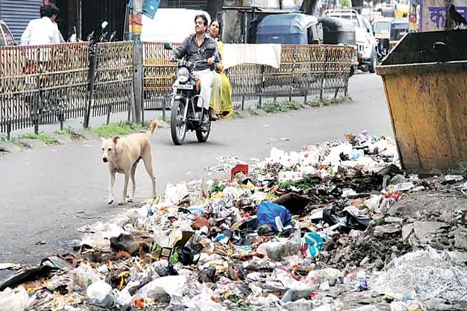 Madhya Pradesh achieves complete door-to-door garbage collection ...