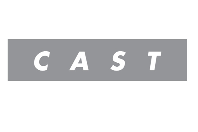 Cast Software eyes $9 million revenue from India this year - Technology ...