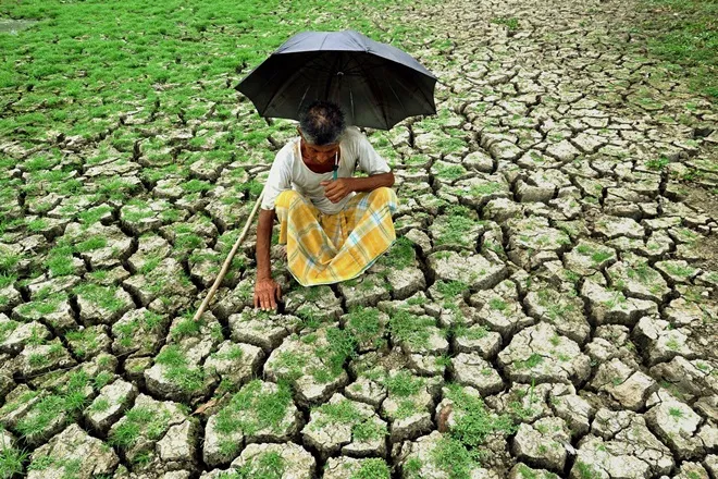 Farmers are poor due to low productivity of all major crops - Opinion ...