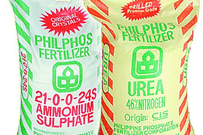 Urea subsidy to continue till 2020 - Economy News | The Financial Express