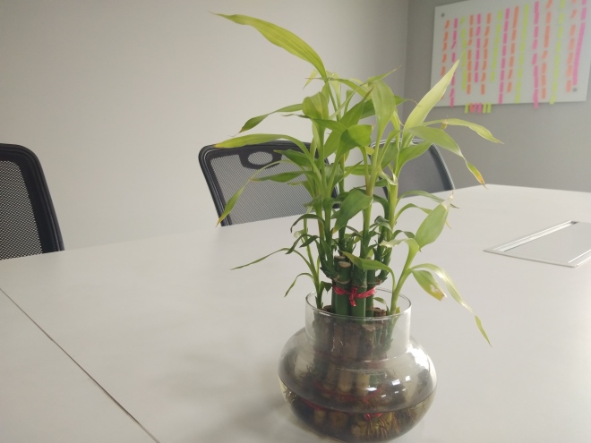 Vivo V9 Review: Android finally embraces the ‘notch’, but does it look ...