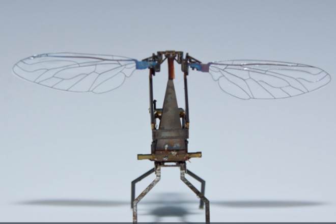 For first time, scientists develop flying robotic insects that could ...