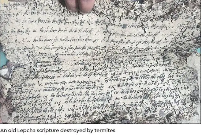 Rong Ring: How a communication designer is trying to create new font ...