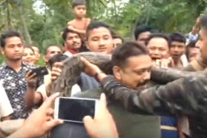 Bizarre! Forest ranger’s photo-op with 18-foot python goes horribly ...