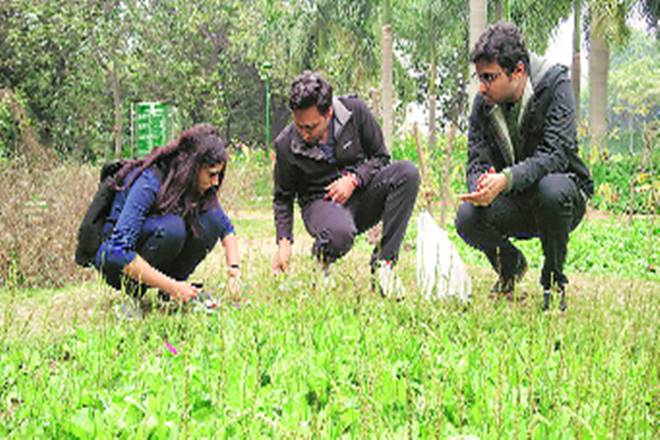 Walking the talk: Know how a number of groups and environmentalists are ...