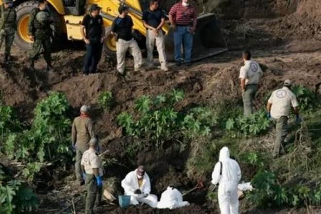 Shocking! 166 human skulls found in Mexico mass grave - World News ...