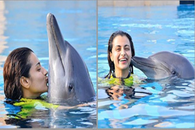 ‘Believe in love at first sight?’ Actress Trisha’s photos with dolphins ...