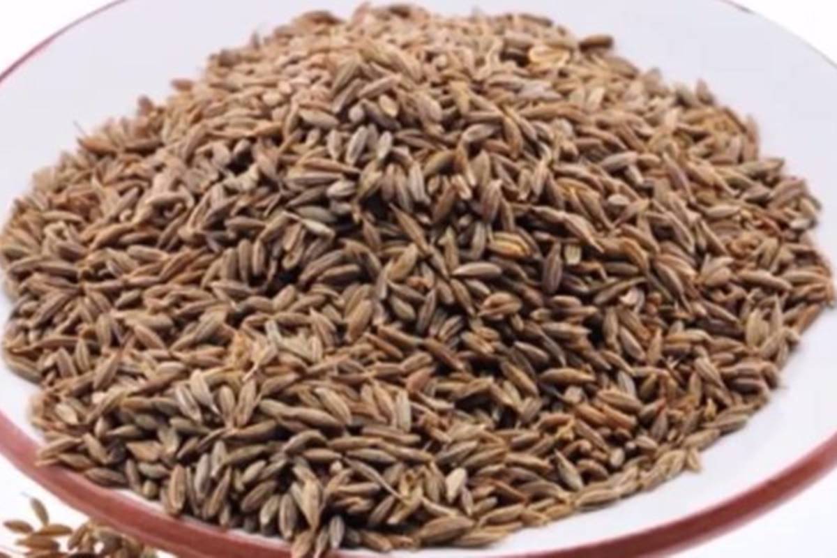 Jeera to trade lower on good stocks, lower export demand - Market News ...