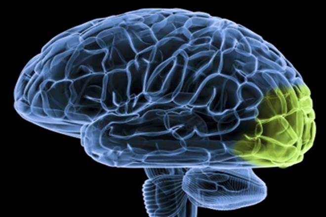 China aims at detailed 3D map of human brain - Science News | The ...