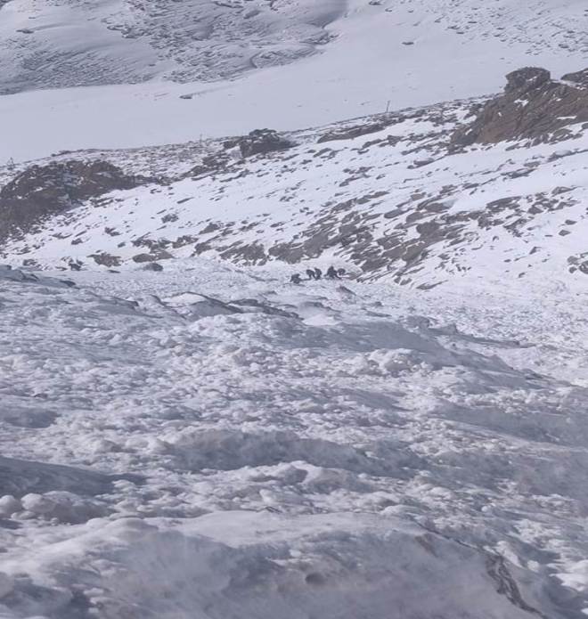 Watch: Snowfall brings down temperature in Himachal Pradesh - India ...