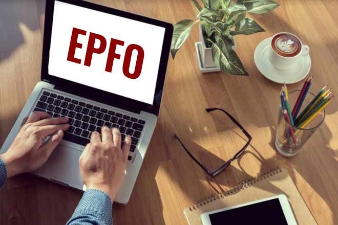 PF account number and UAN: Essential EPFO information about your ...