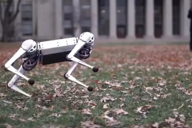 Watch: MIT’s mini cheetah robot woos the crowds with backflips, trots ...