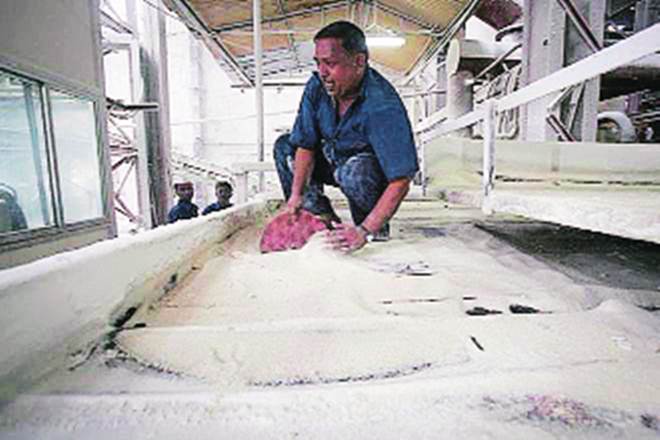 Govt’s sugar quota system is floundering — Here’s why - Economy News ...