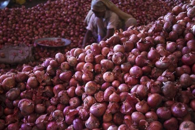 Nafed begins procurement of onion from Lasalgaon - Commodities News | The Financial Express