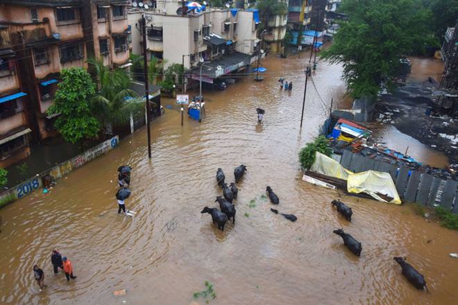 Godavari above danger mark, flood-like situation in Nashik - India News | The Financial Express